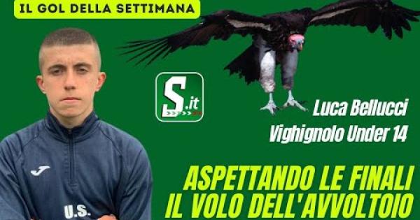 L'avvoltoio affila il becco per le finali: il gol di Luca Bellucci al ...
