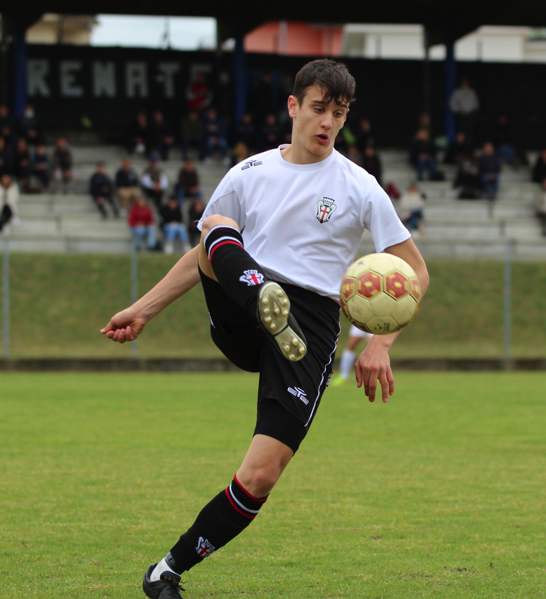 80 minuti alla fine della regular season: dalla vetta alla lotta ...